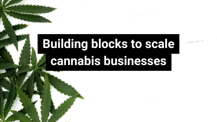 365 Cannabis Achieves Full METRC Validation Across 20 Regulated Markets ...